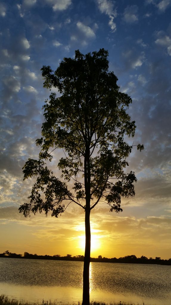 Byte Solutions - Computer Support, Network Support, South Florida | Computer Support - Managed ...